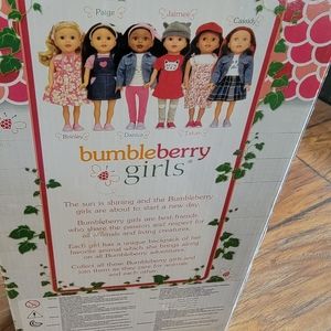 bumbleberry girls | Toys | Bumbleberry Girls Doll | Poshmark